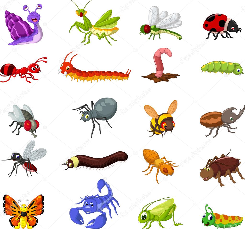 Colección de dibujos animados insectos para el diseño Ilustración de ...