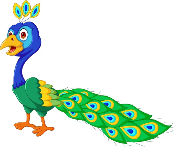 Peacock cartoon Stock Photos, Royalty Free Peacock cartoon Images ...