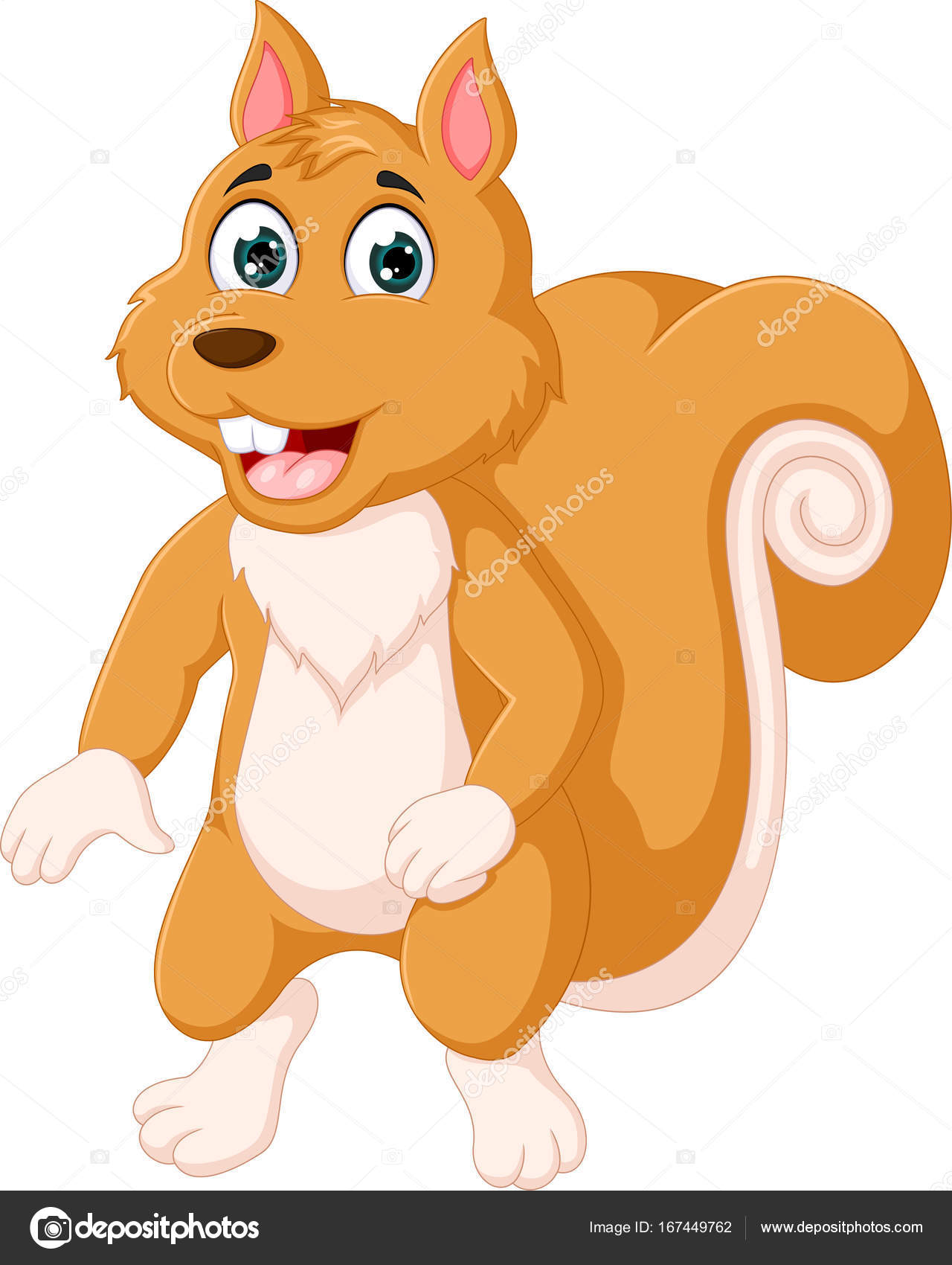 Funny squirrel cartoon posing with smiling Stock Illustration by ...