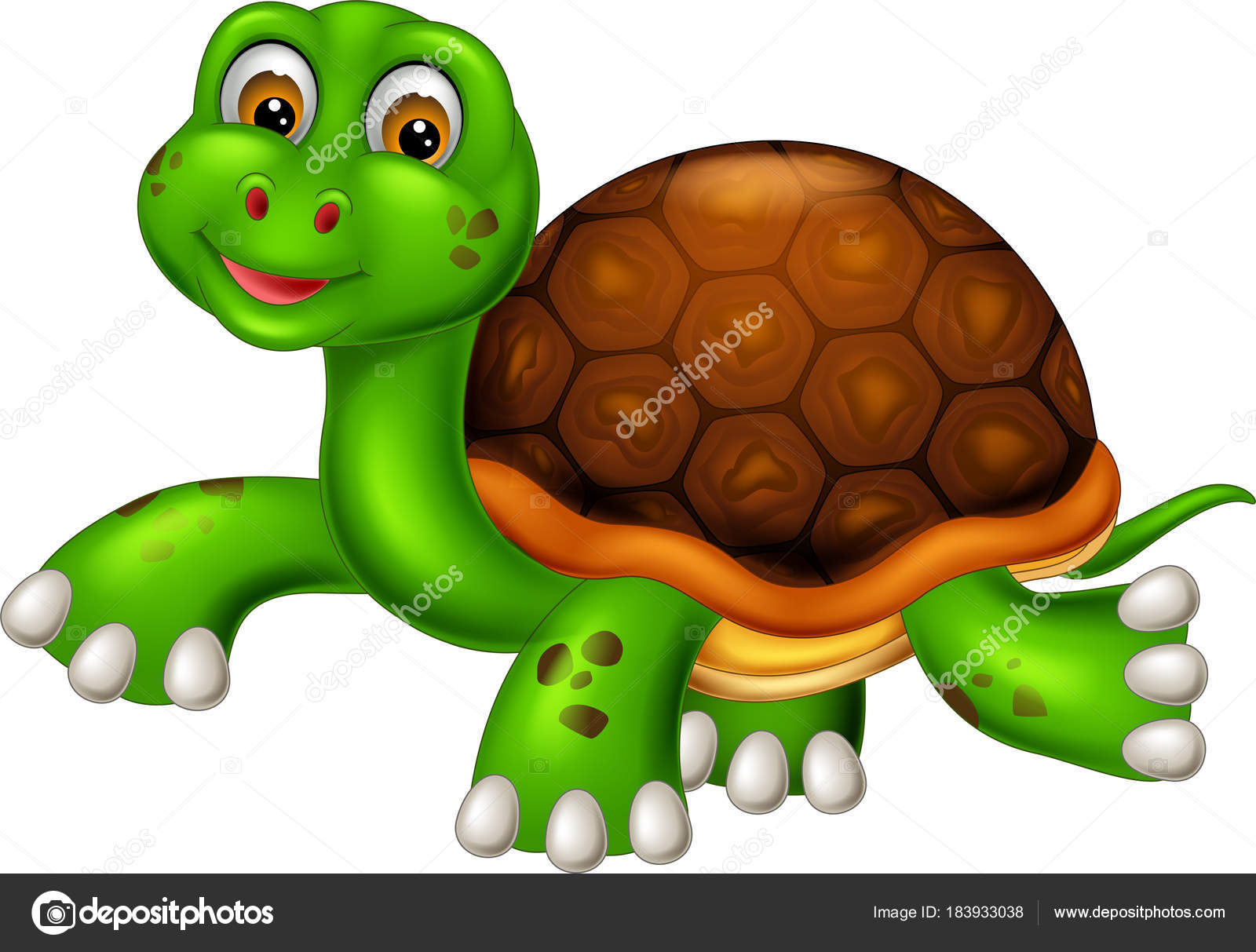 Laughing Turtle Cartoon