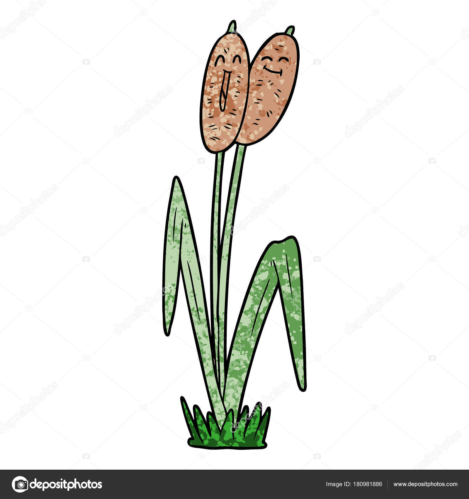 Vector Illustration Cartoon Bullrush Stock Illustration by ...
