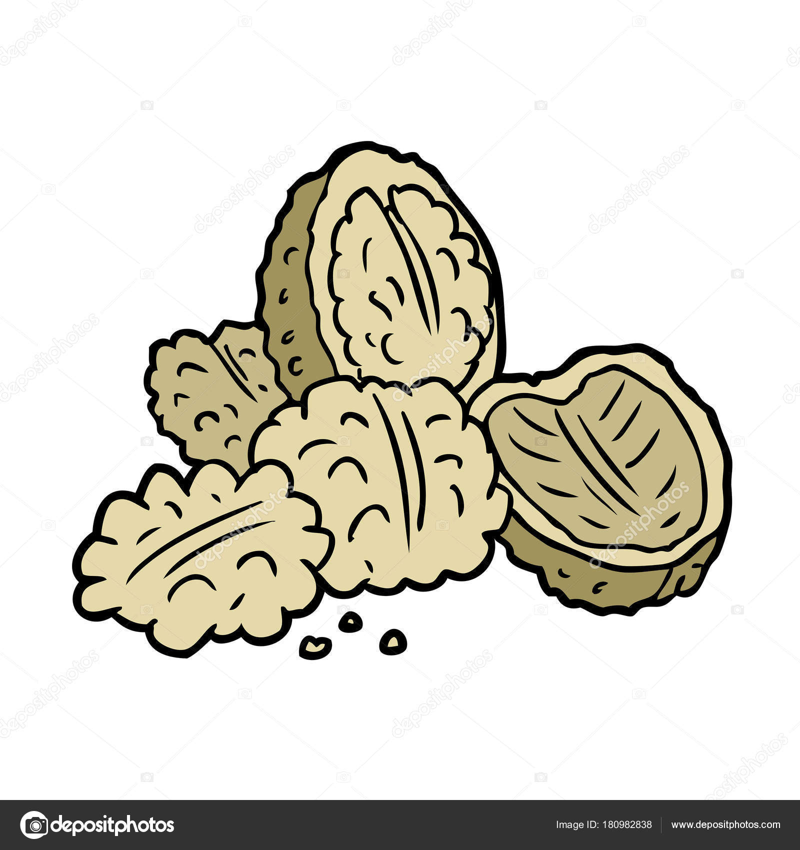 Vector Illustration Cartoon Walnuts Stock Illustration by ...