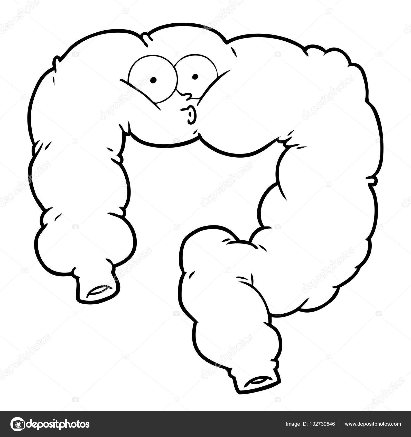 Vector Illustration Cartoon Colon Stock Vector Image by ...