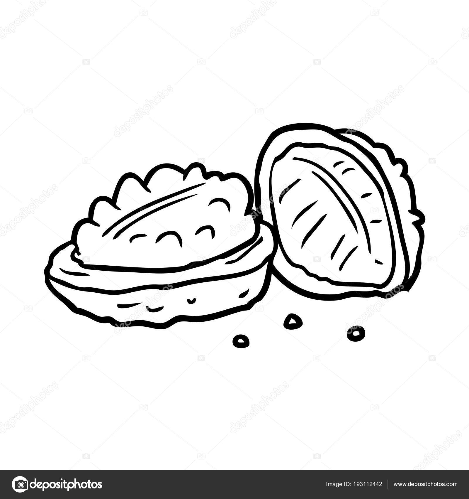 Line Drawing Walnuts Stock Illustration by ©lineartestpilot #193112442