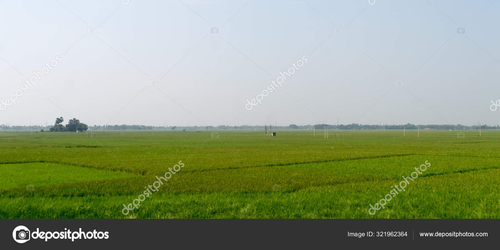 Horizon over Agricultural field and green spring meadow. Countryside ...