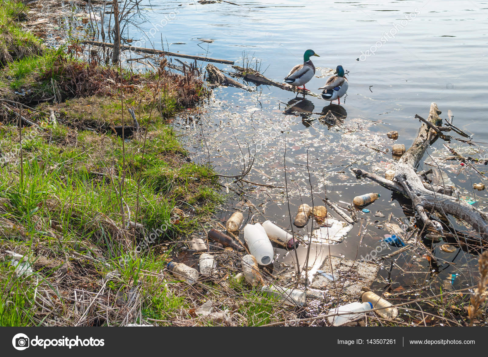 Garbage Along Shoreline Stock Photo by ©andykazie 143507261