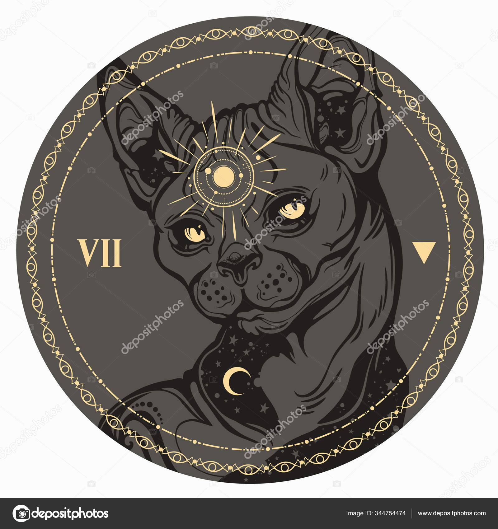 Image of an alchemical magic cat Stock Vector Image by ©inkystory ...