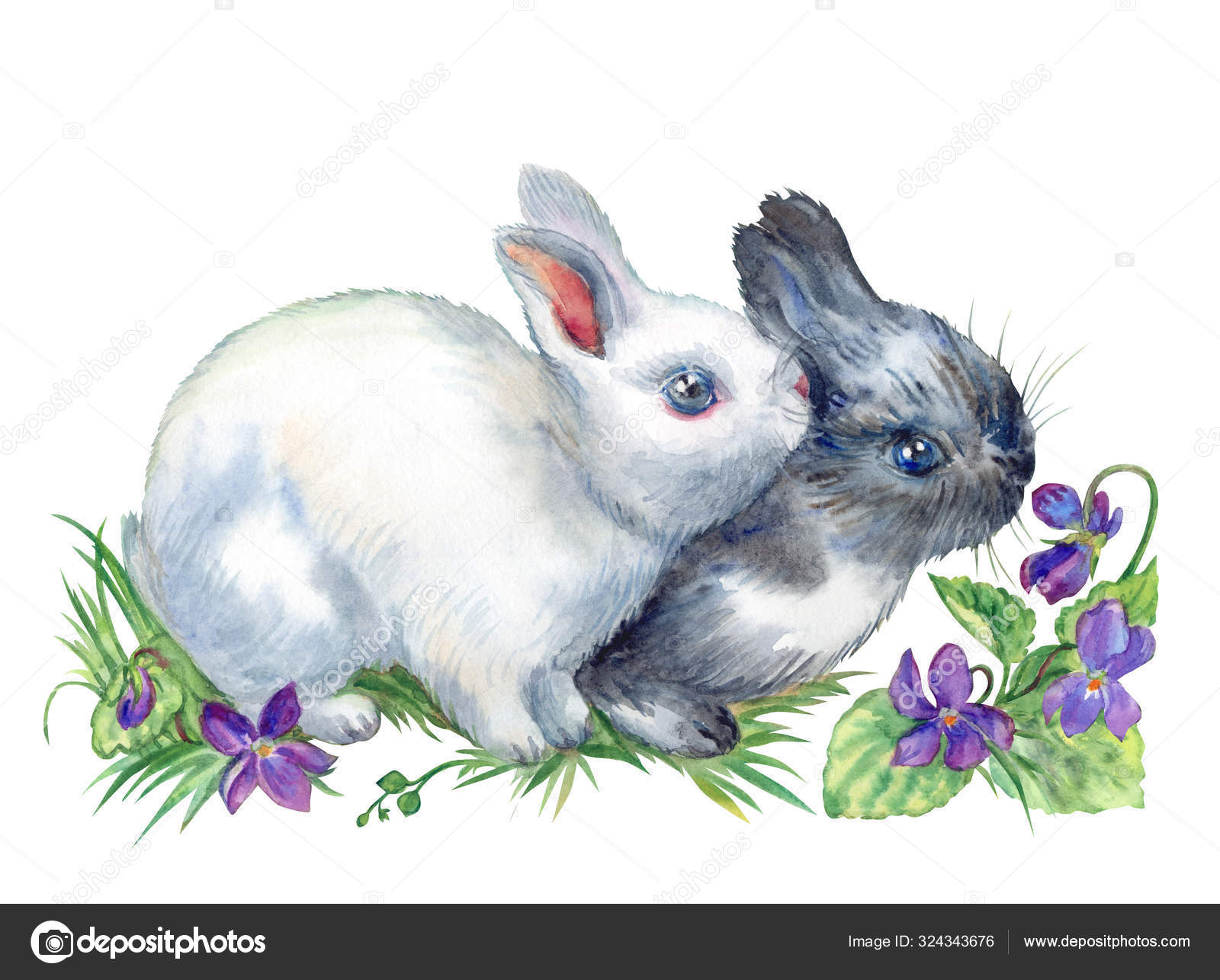 Two Rabbits Spring Flowers Watercolor Illustration White Background ...