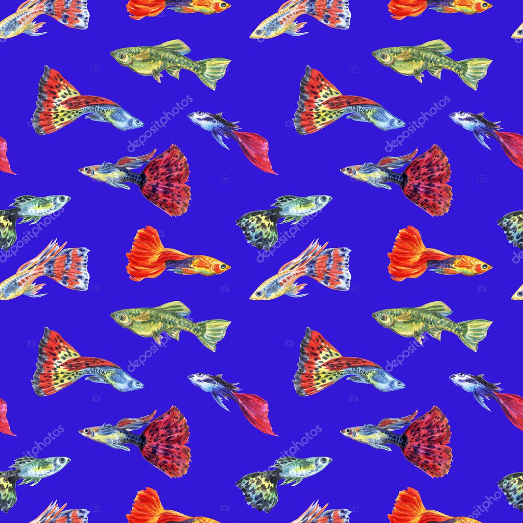 Guppy acuario peces patrón sin costura sobre fondo azul, acuarela ...