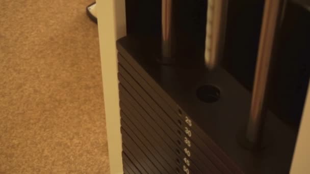 91 Free plates Videos, Royalty-free Stock Free plates Footage ...