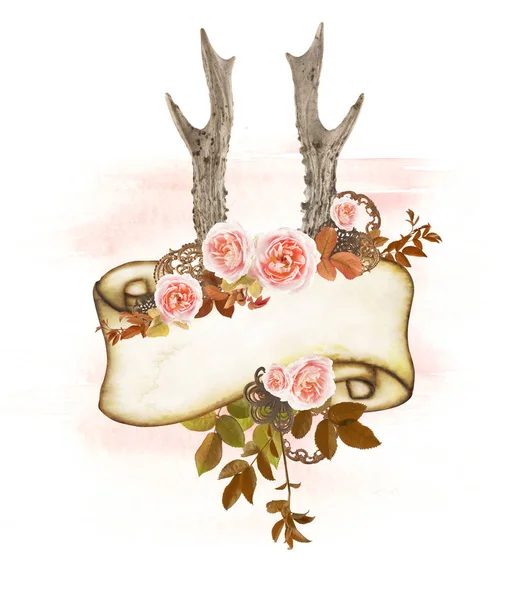 Antler flower Stock Photos, Royalty Free Antler flower Images ...