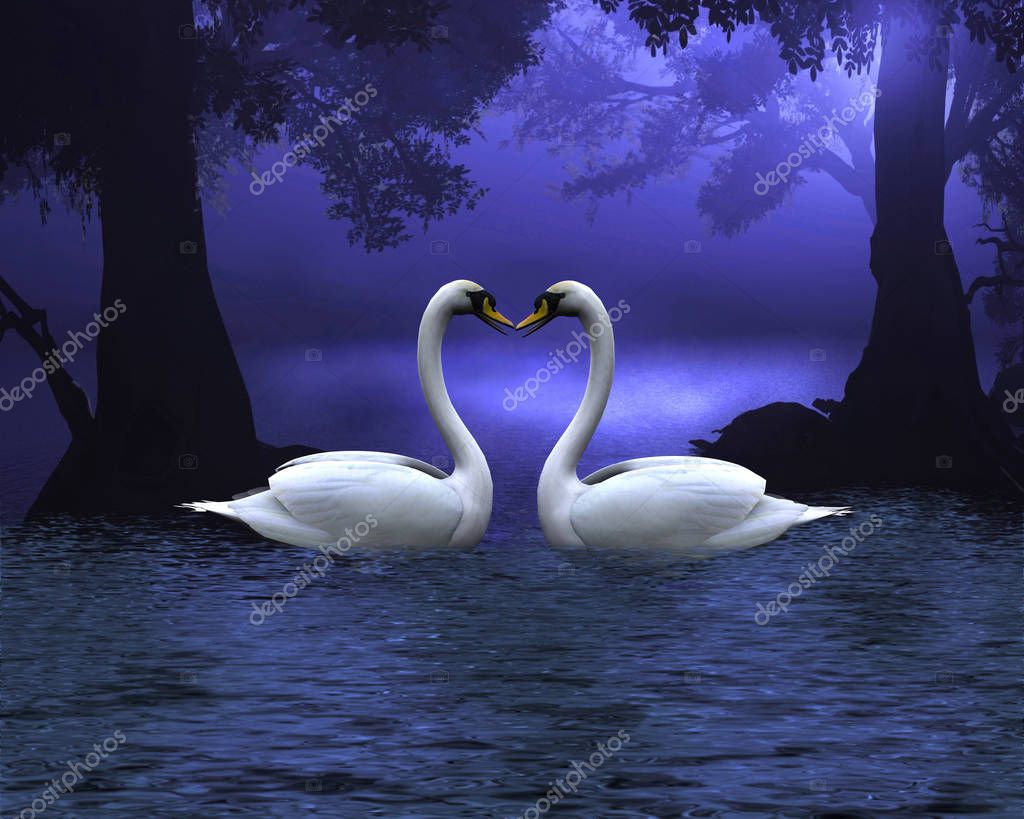Escena del cisne por la noche. Ilustración de dos cisnes en un lago ...