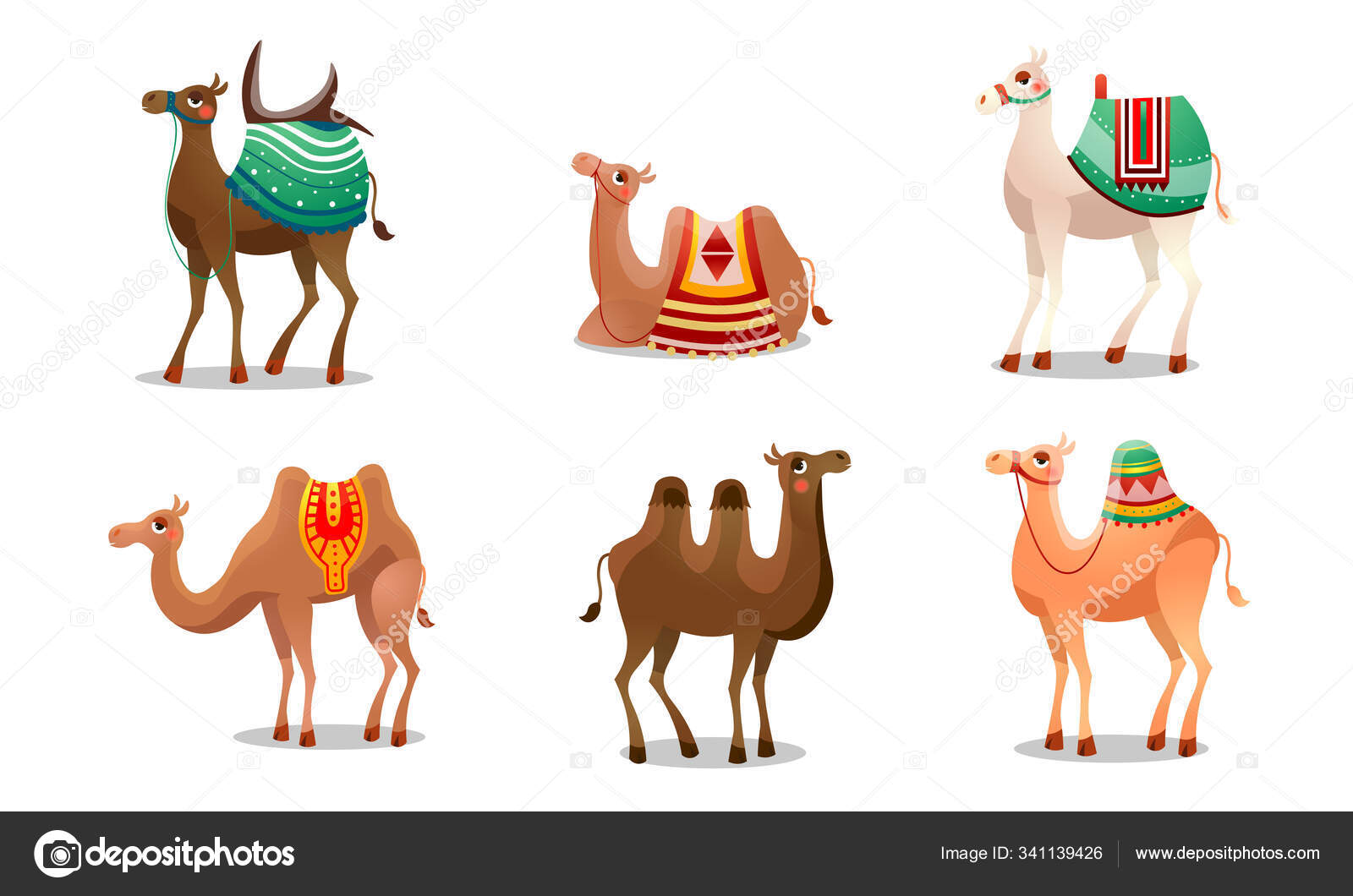 Set of funny cute camels with colorful blankets vector illustration ...