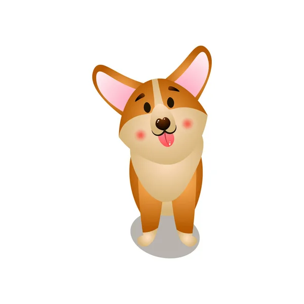 Lindo perro sonriente feliz spitz es permanecer en el piso de la ...