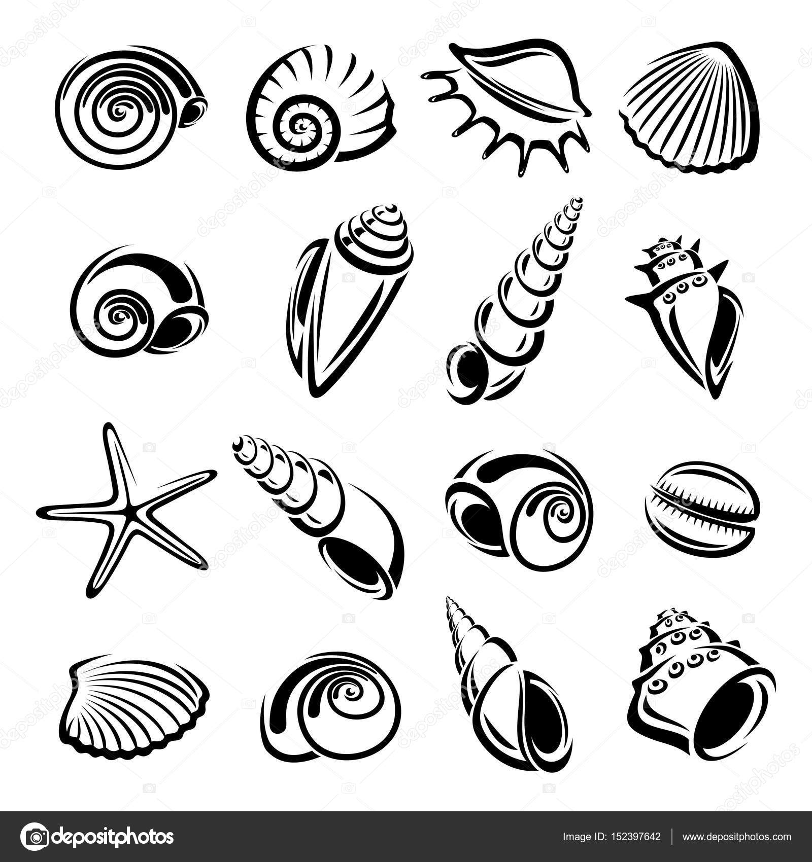 Group Of Shells Clipart