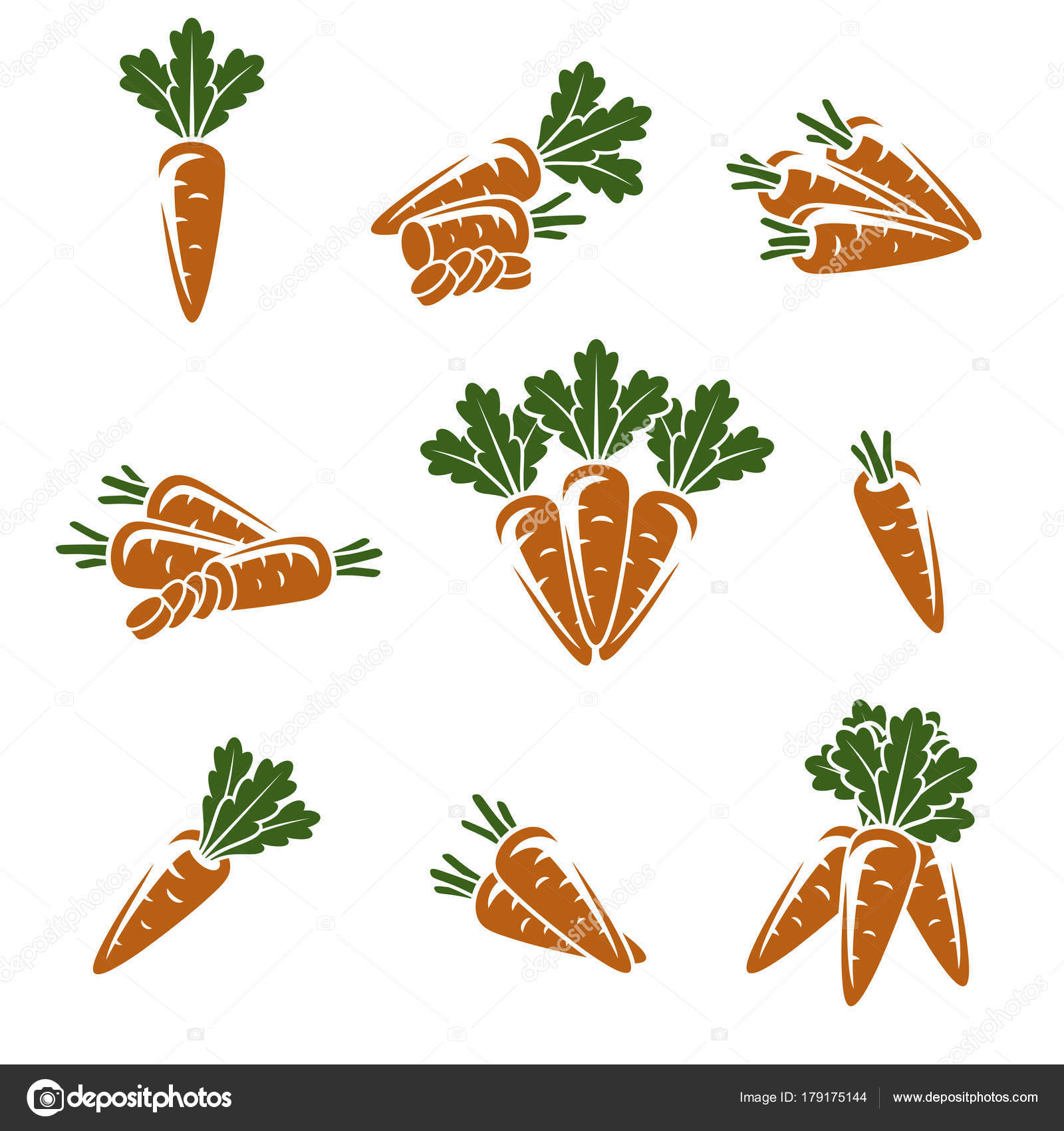 Carrot Set Vector Collection Carrot Set Edit Size Color Vector Stock ...