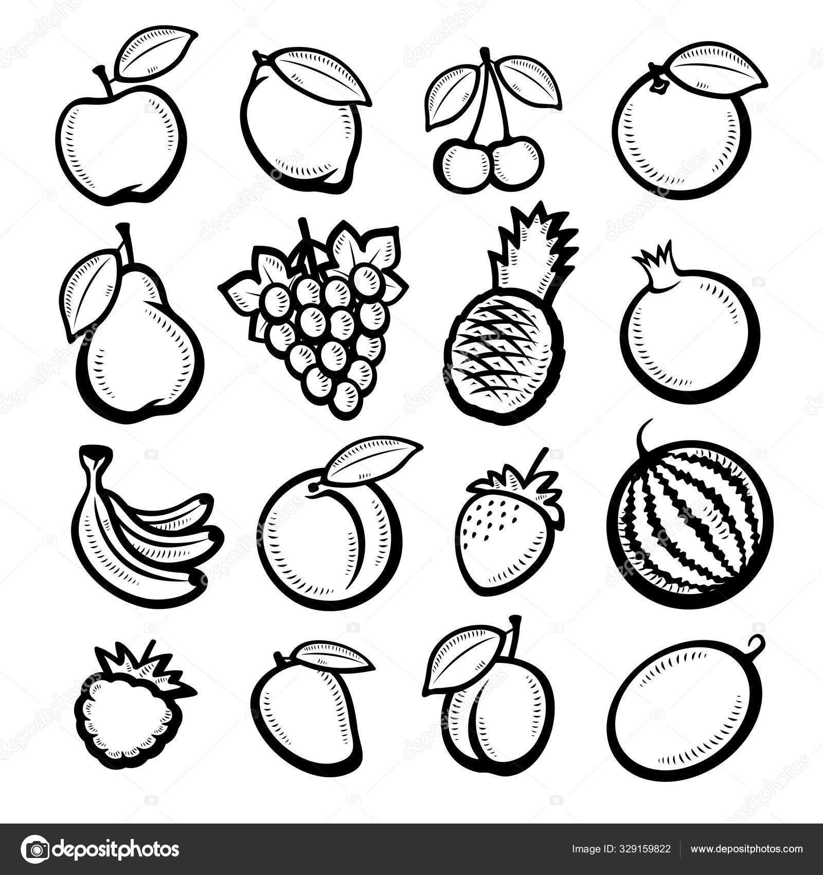 Kumpulan Buah Buahan Ilustrasi Vektor Vektor Stok oleh ©Vasilev_Ki ...