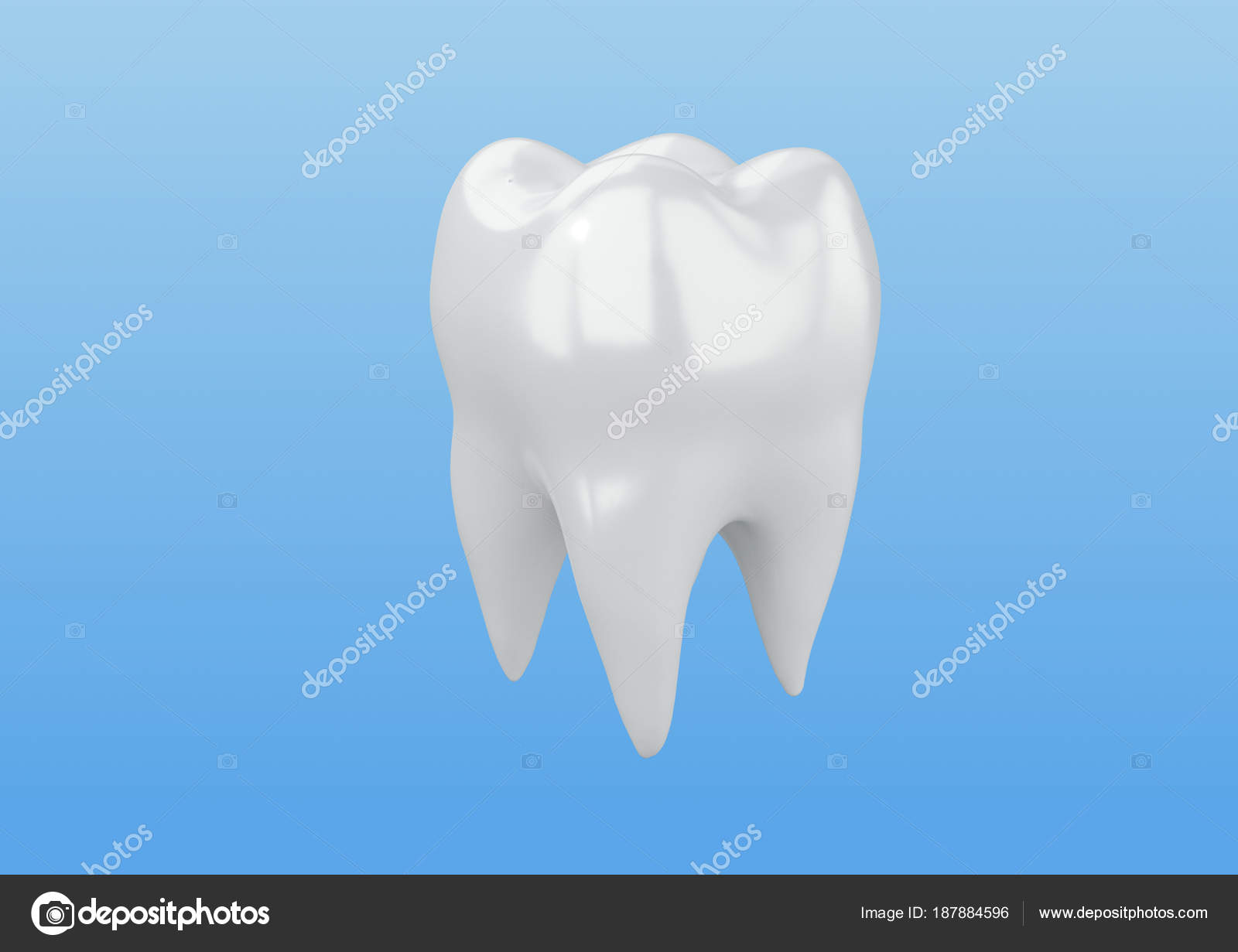 Digitally Shaped Human Molar Tooth Rendering — Stock Photo ...