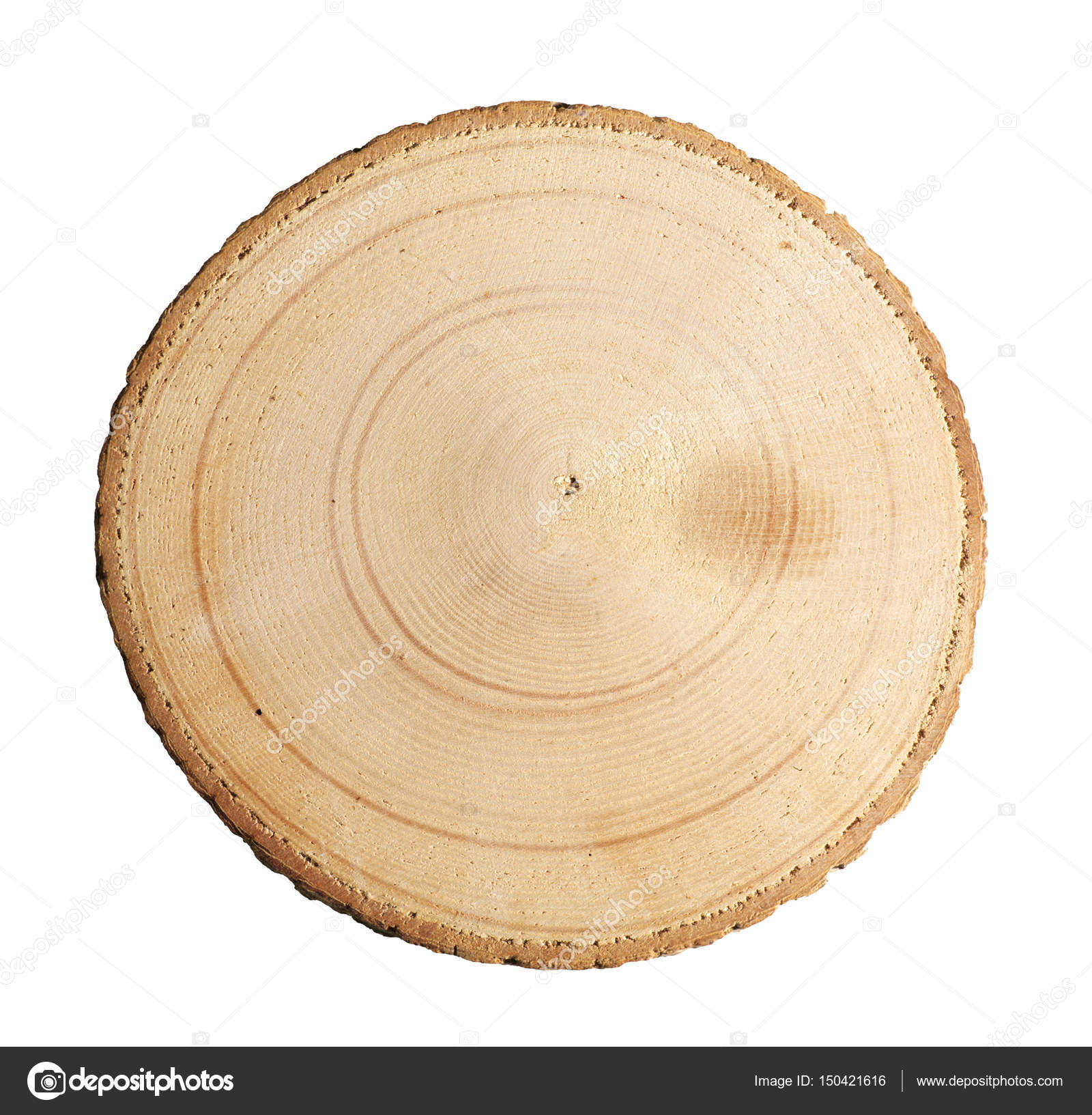 Sawed wood texture — Stock Photo © JirFed #150421616