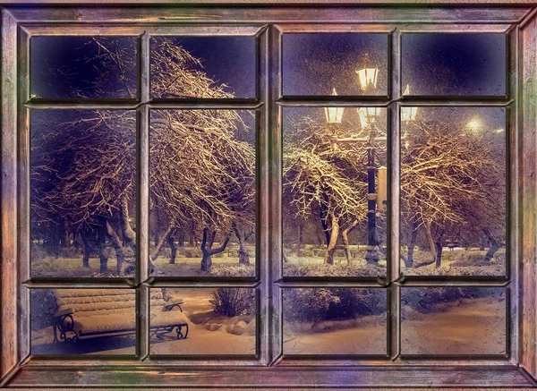 Winter garden window Stock Photos, Royalty Free Winter garden window ...