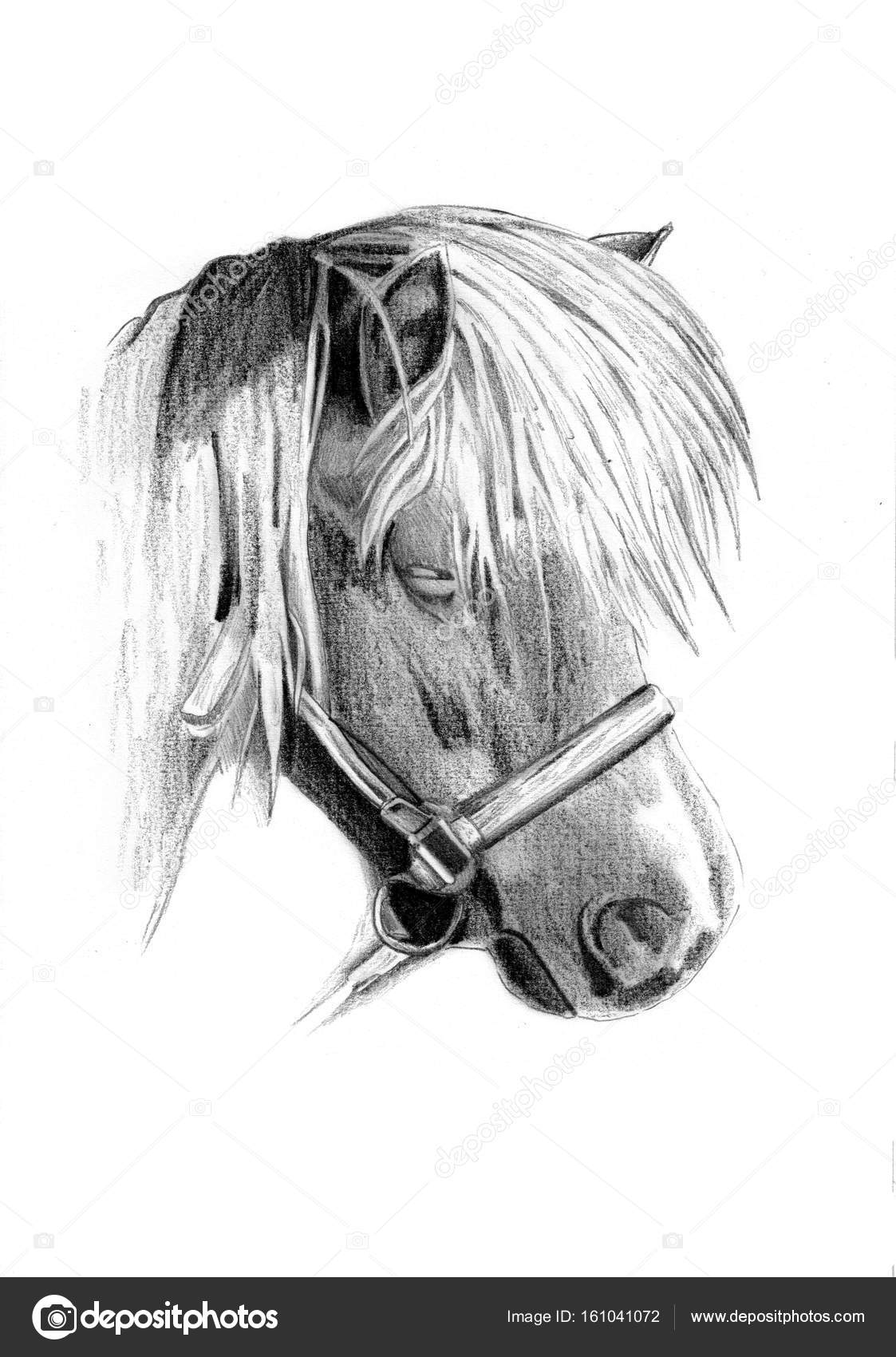 Stokk Hest Tegning Man On Horse High Res Vector Graphic Getty Images