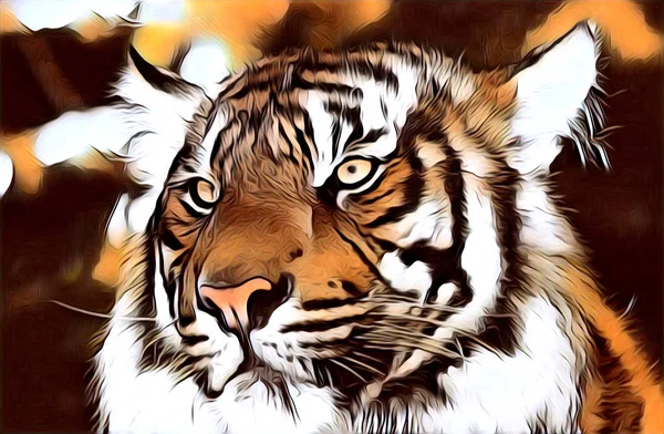 tiger art illustration color - Stock Image - Everypixel