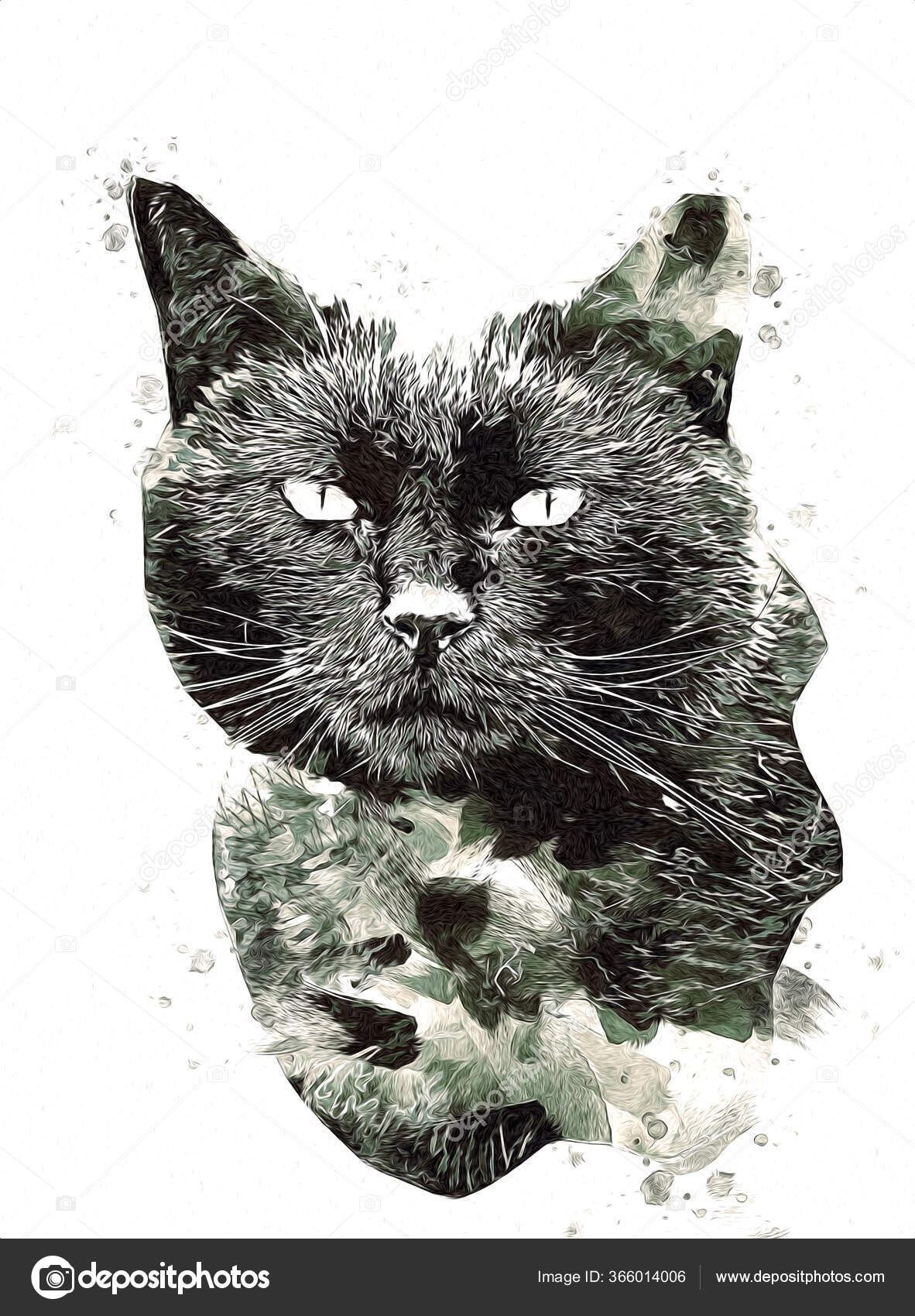Cat Drawing Illustration Art Vintage Retro Antique Stock Illustration ...