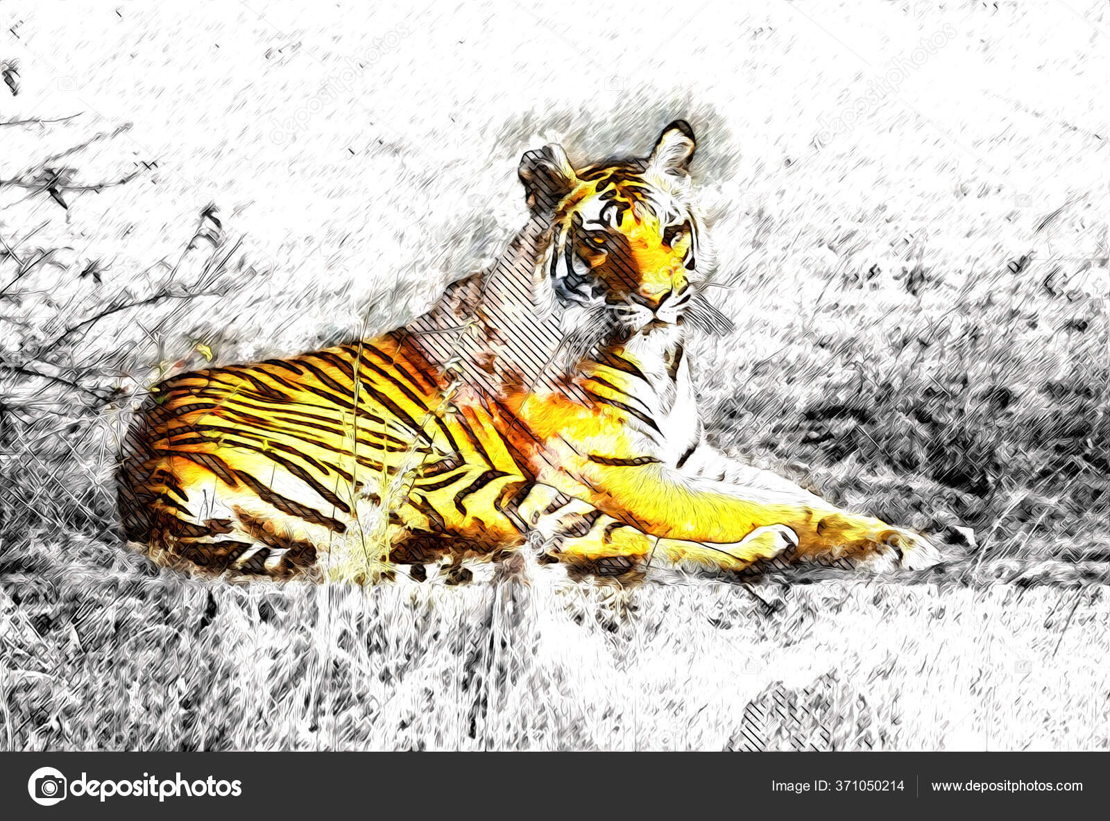 Tiger Art Illustration Old Drawing — Stock Photo © maxtor7777 #371050214
