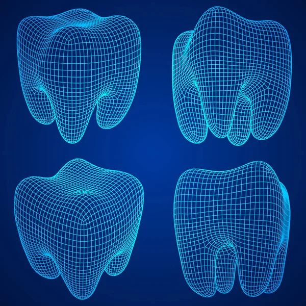 Tooth Wireframe Mesh Stock Vector Image by ©newb1 #162372532
