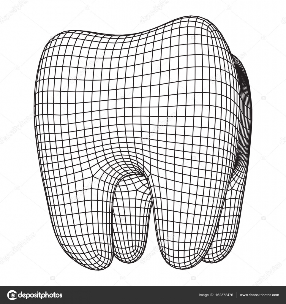 Tooth Wireframe Mesh Stock Vector Image by ©newb1 #162372476