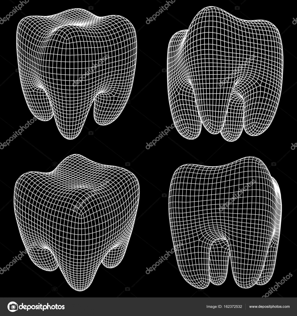 Tooth Wireframe Mesh Stock Vector Image by ©newb1 #162372532