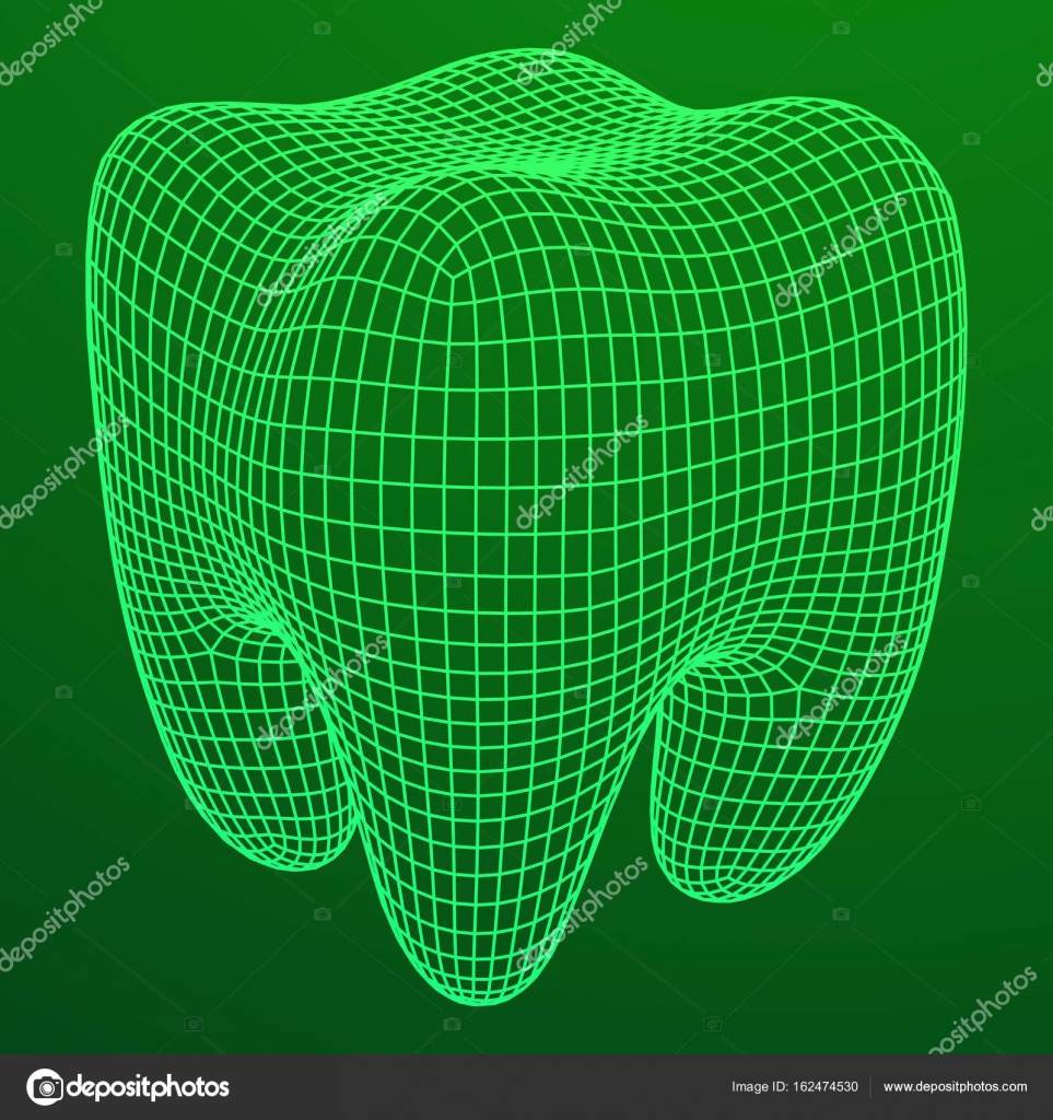 Tooth Wireframe Mesh Stock Vector Image by ©newb1 #162474530