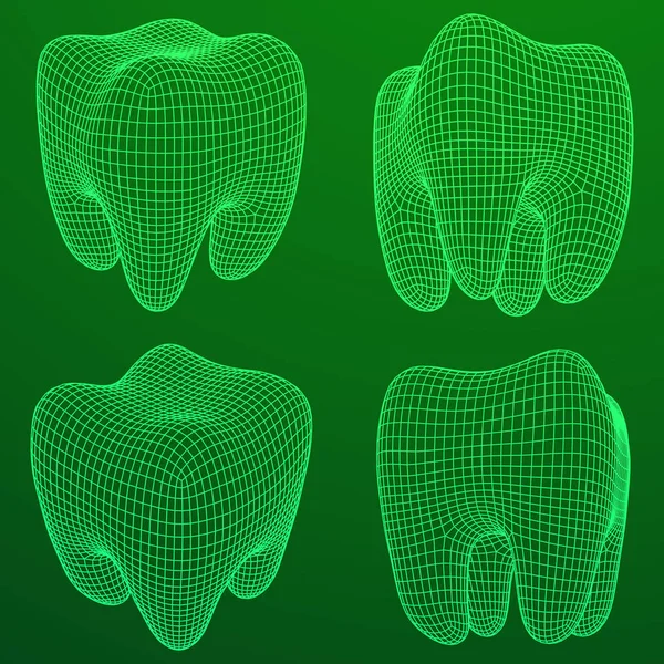 Tooth Wireframe Mesh Stock Vector Image by ©newb1 #162372532