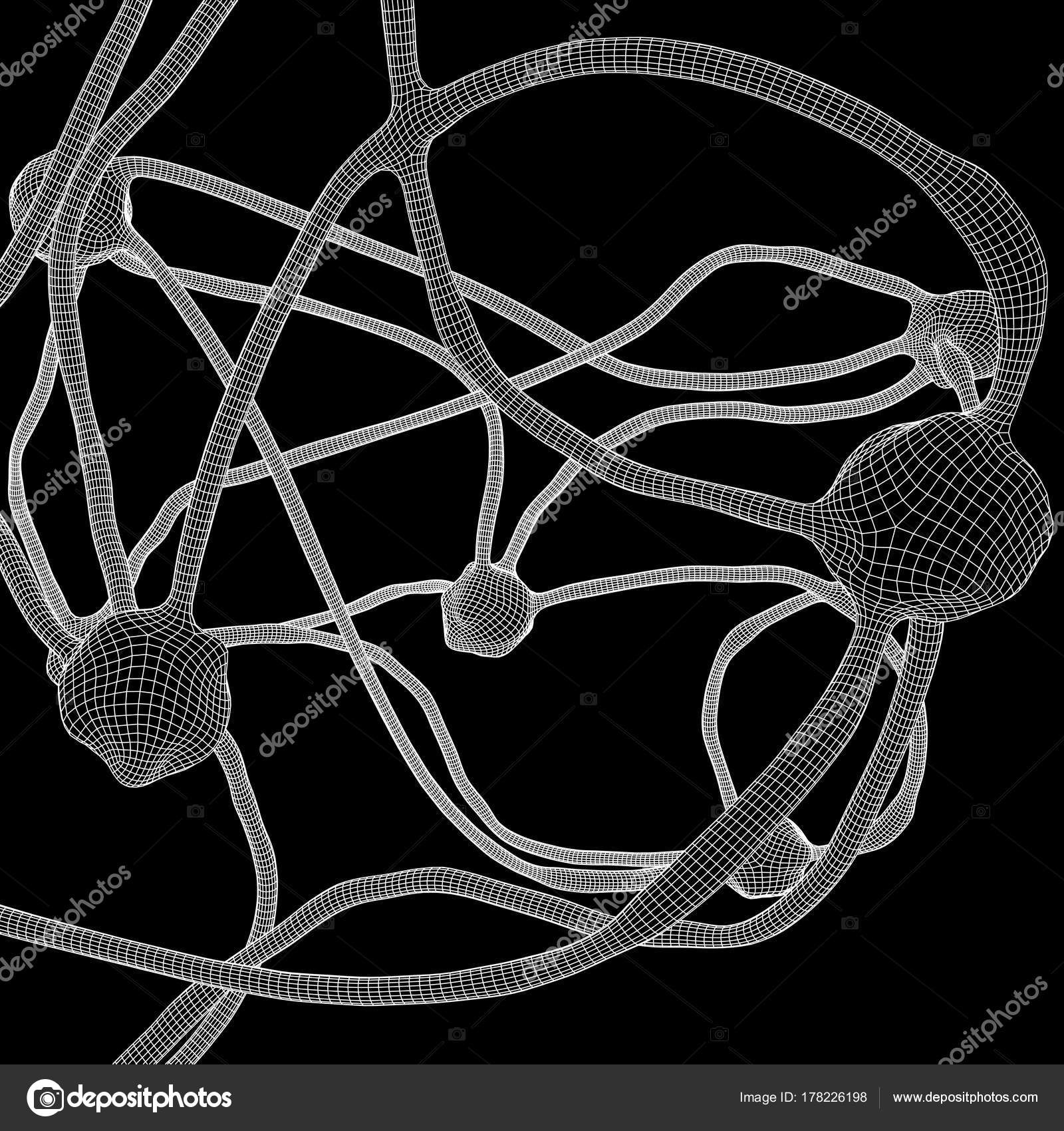 Neuron system wireframe mesh model Stock Vector Image by ©newb1 #178226198