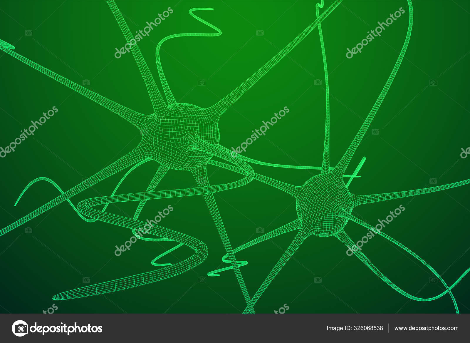Neuron system wireframe mesh model. Stock Vector Image by ©newb1 #326068538