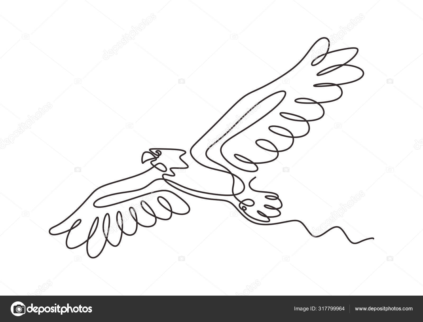 Line Drawings Of Eagles
