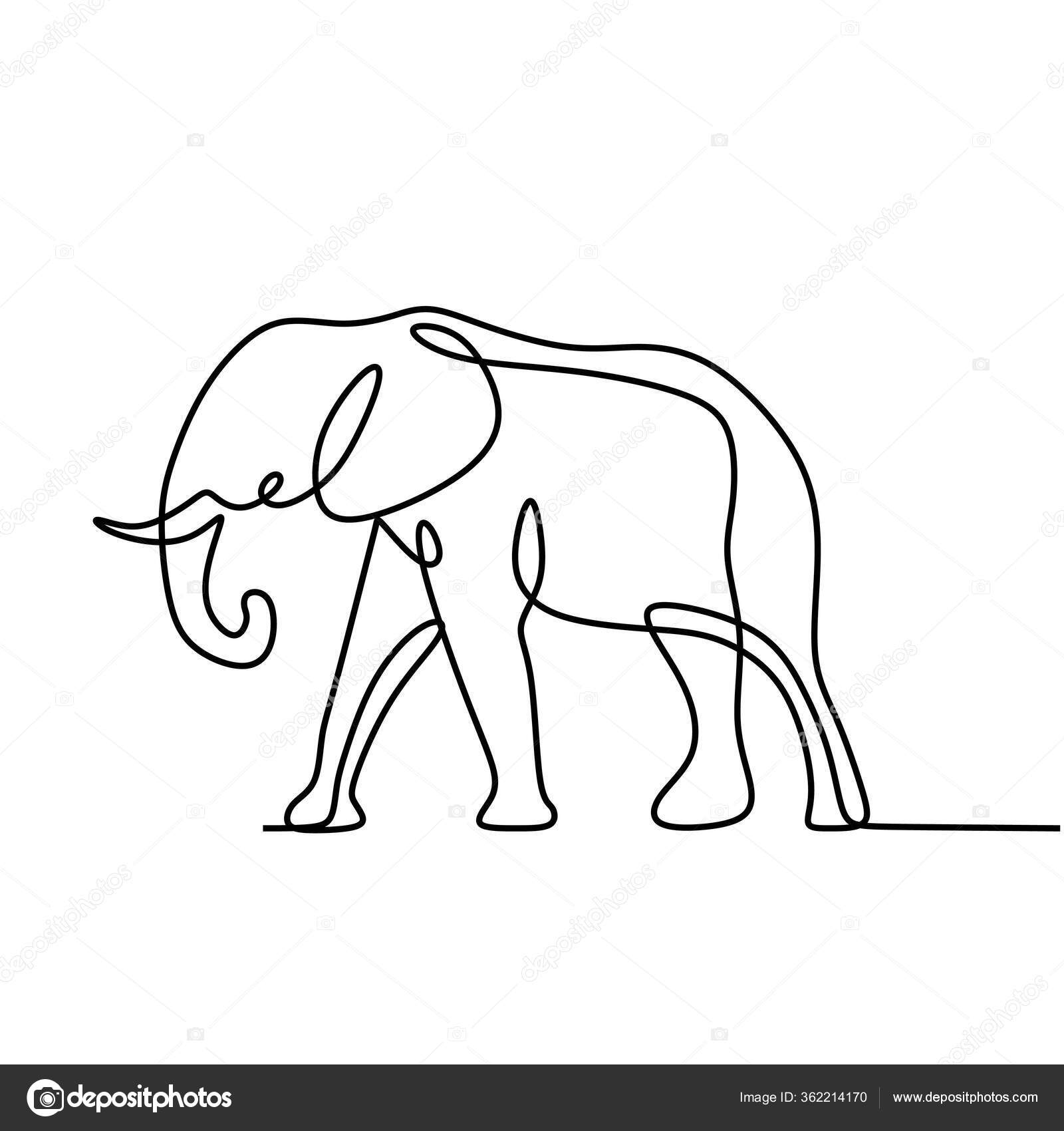 Elephant Line Drawing
