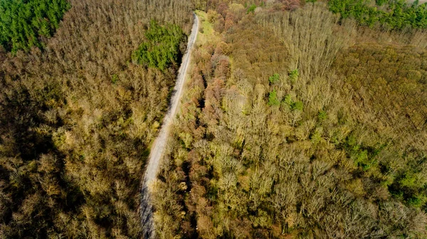 Forest top view Images - Search Images on Everypixel