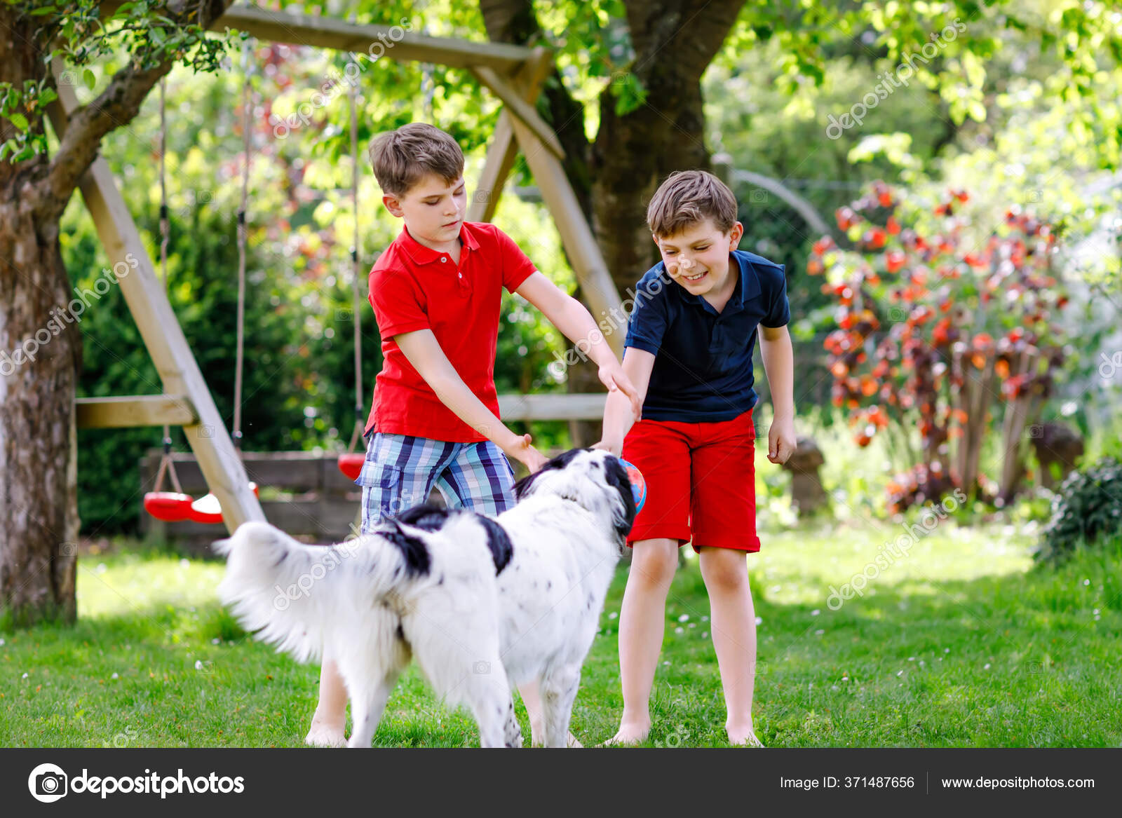 Two kids boys playing with family dog in garden. Laughing children ...