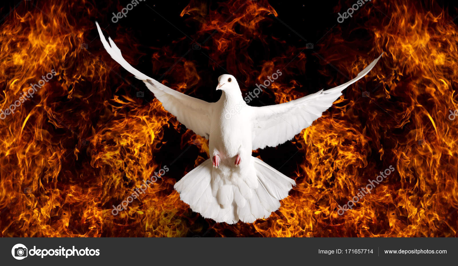 Symbols Of Hope Dove