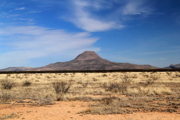 Texas Desert Landscape