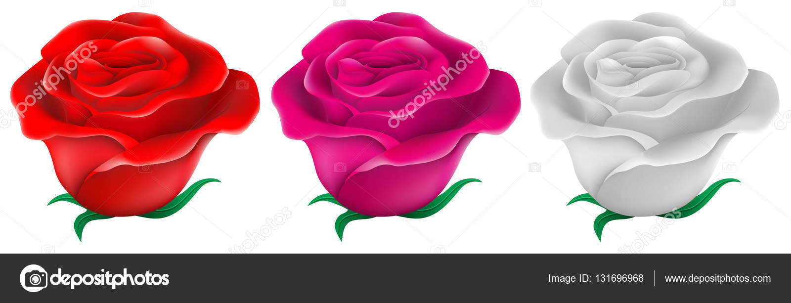 Roses in three different colors Stock Vector Image by ©blueringmedia ...