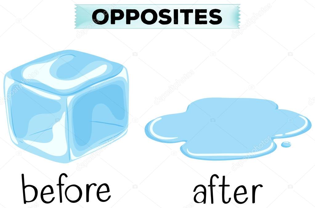 Opposite words for before and after — Stock Vector © blueringmedia ...