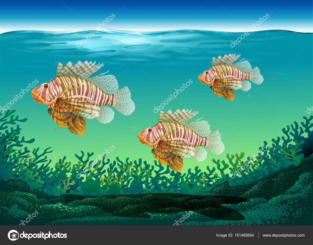 Underwater scene with three fish swimming Stock Vector Image by ...