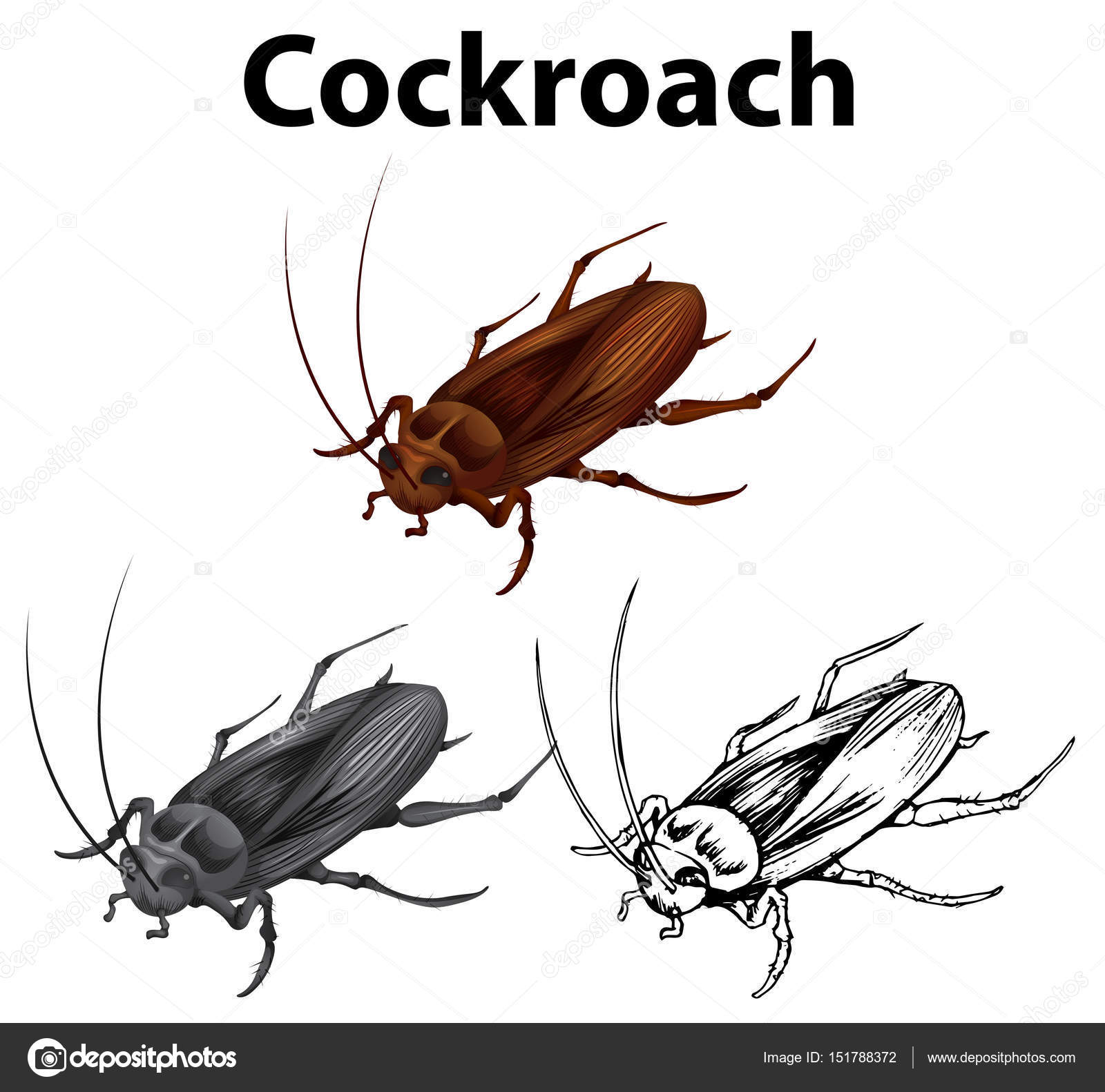 Drafting Character For Cockroach Stock Vector By ©blueringmedia 151788372