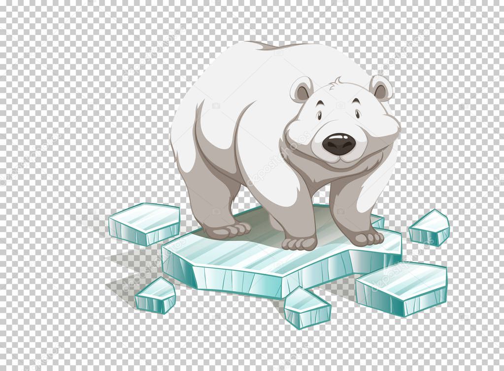 Oso polar sobre iceberg sobre fondo transparente 2022
