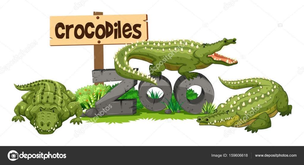 Tres cocodrilos en el zoológico Vector de stock #159606618 de ...
