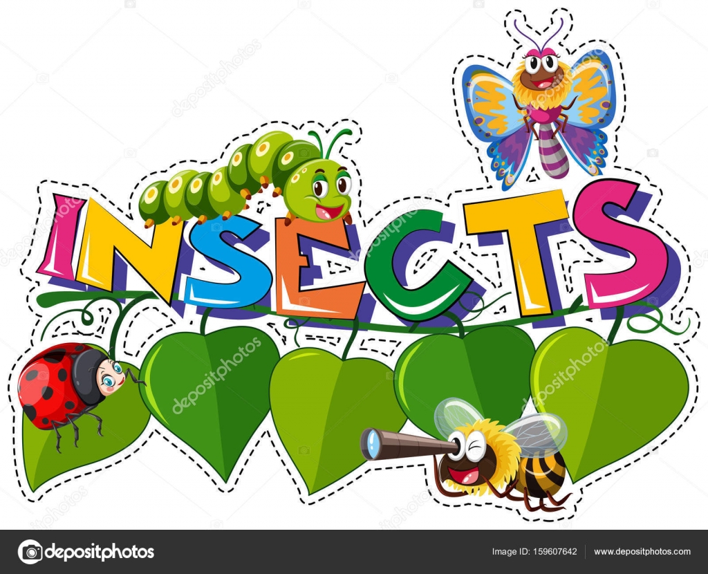 Word design for insects with many insects on leaves Stock Illustration ...