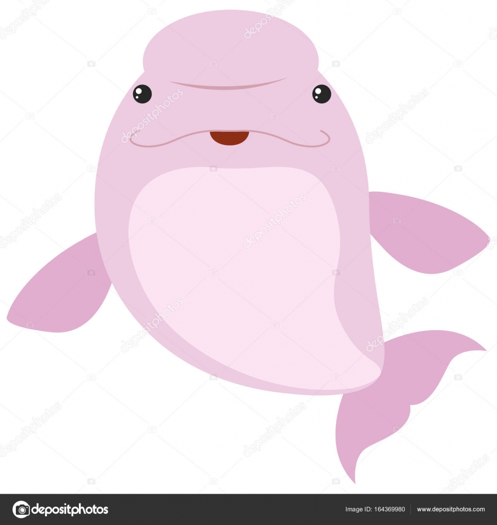 Pink beluga whale on white background Stock Vector Image by ...