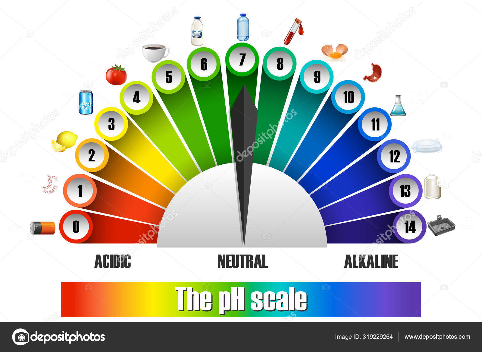 The pH scale on white background Stock Vector Image by ©blueringmedia ...